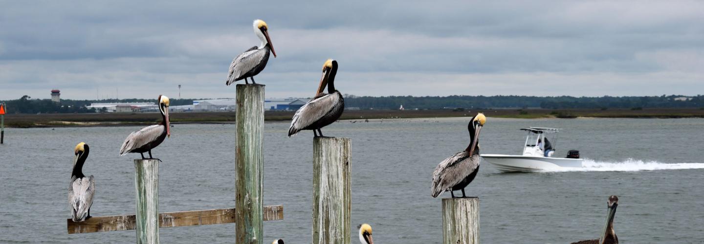 Home | Jeremy Thigpen