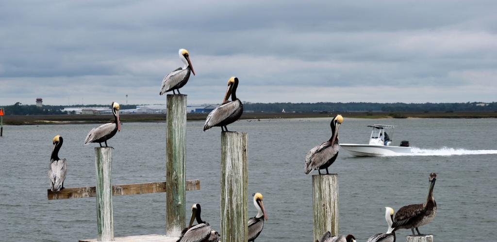 Home | Jeremy Thigpen