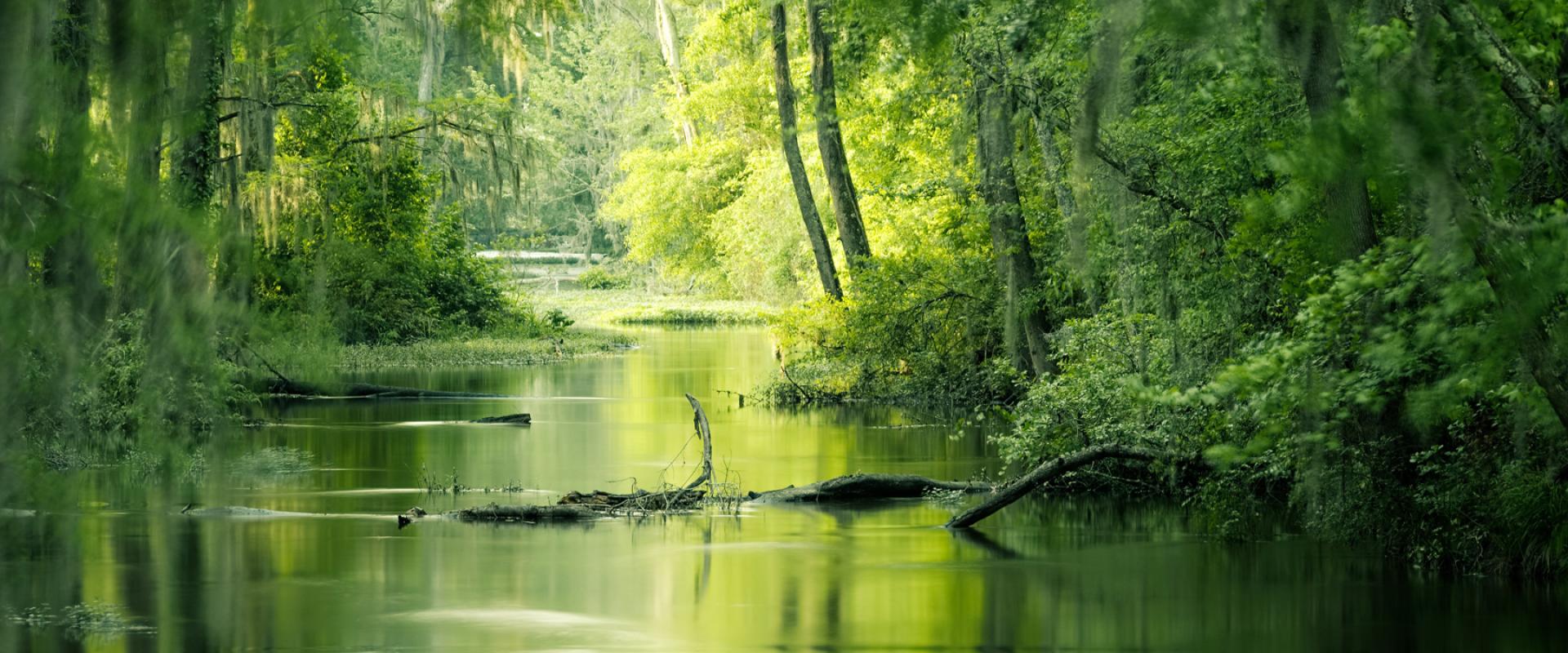 Jeremy Thigpen | Jeremy Thigpen