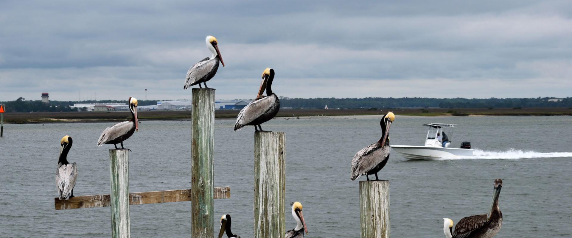 Home | Jeremy Thigpen